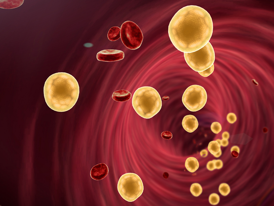 Hvad er et godt LDL- og HDL-kolesterolniveau? – Referenceværdier og ...